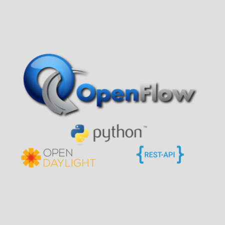 SDN using OpenFlow and REST API Training | RouteHub
